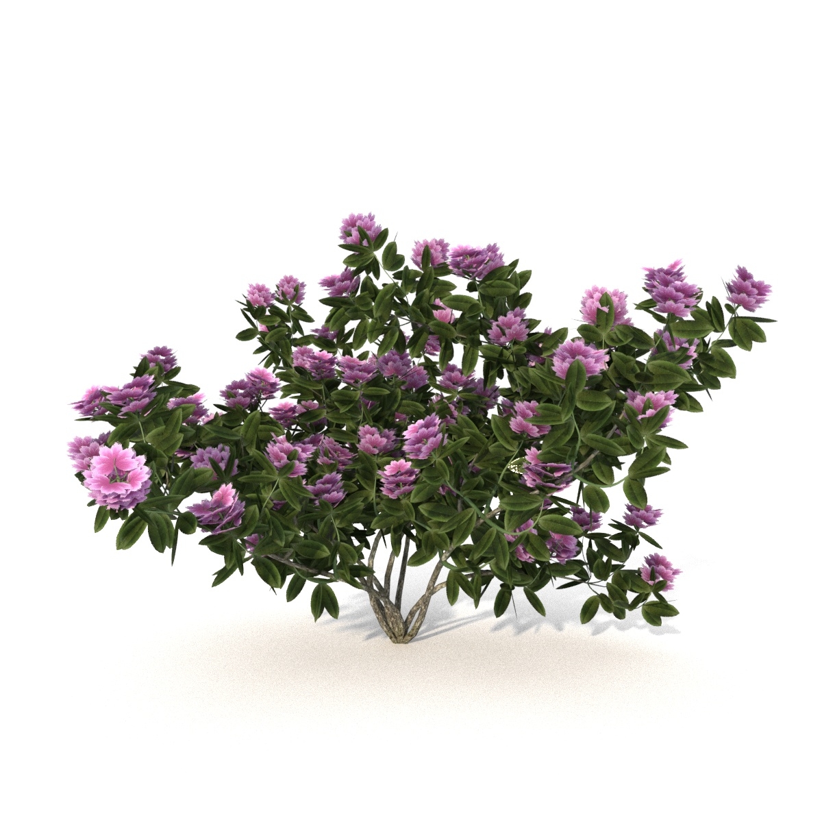 3D tree plants - TurboSquid 1178052