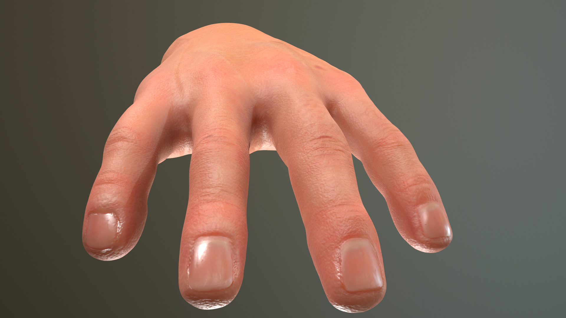 Free male hand rigged 3D model - TurboSquid 1178206