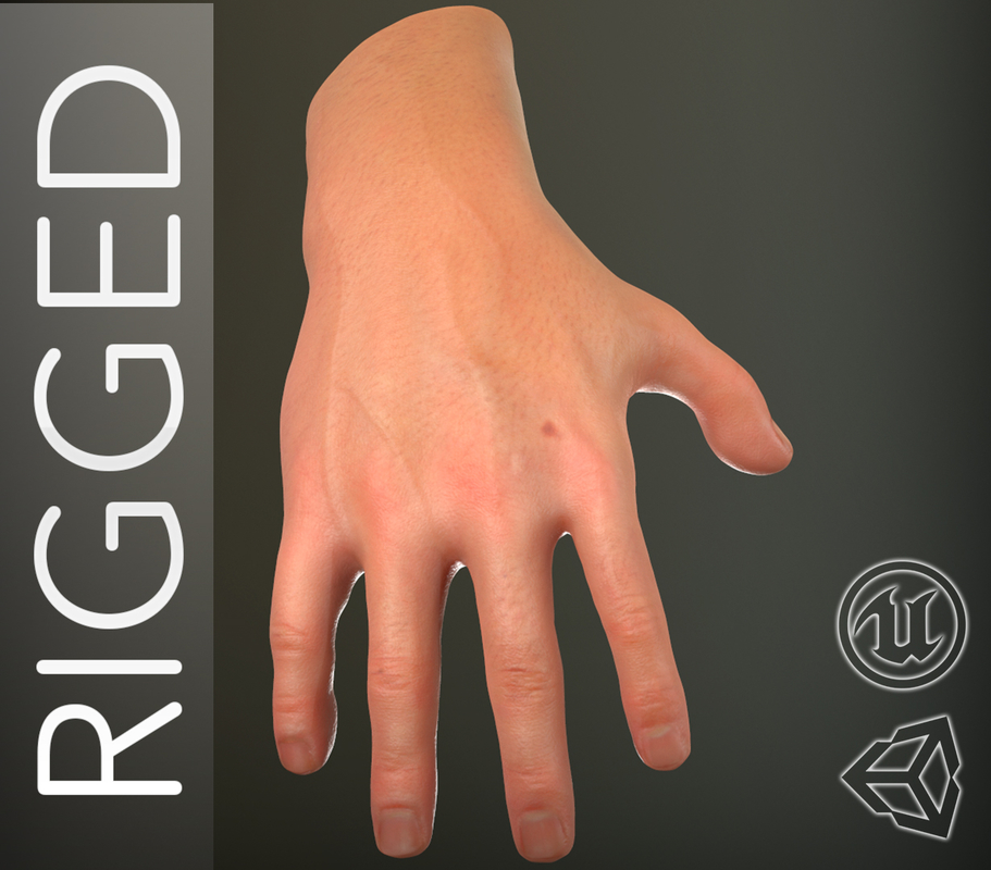 Hand 3D Models for Download | TurboSquid