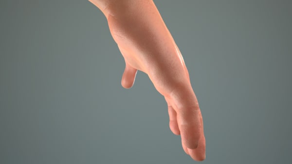 Free male hand rigged 3D model - TurboSquid 1178206