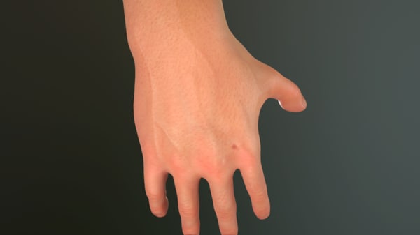 Free male hand rigged 3D model - TurboSquid 1178206
