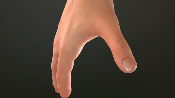 Free male hand rigged 3D model - TurboSquid 1178206
