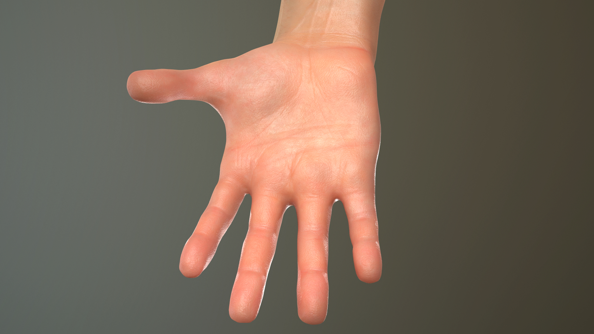 Free male hand rigged 3D model - TurboSquid 1178206