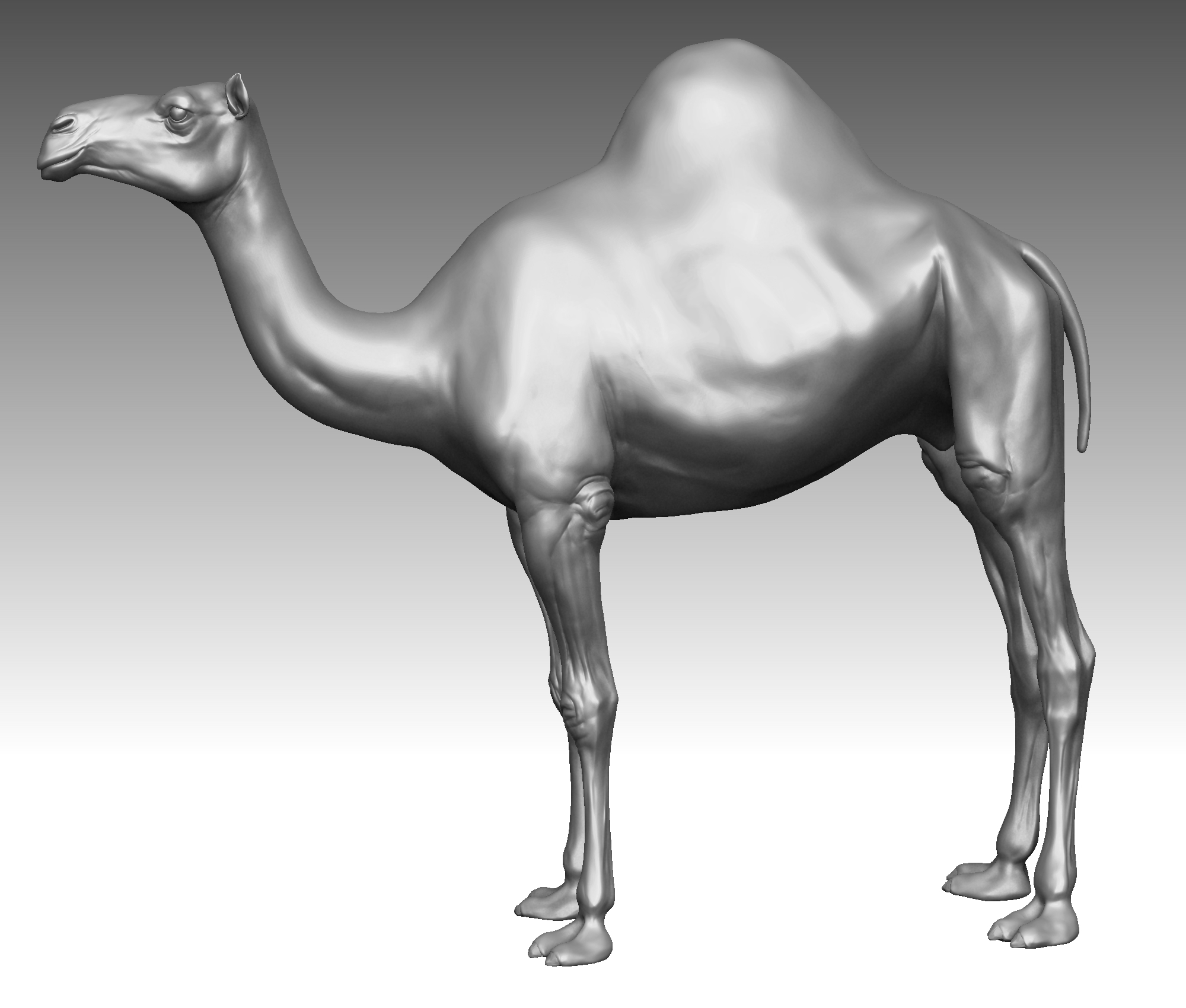 Camel realistic 3D - TurboSquid 1178237