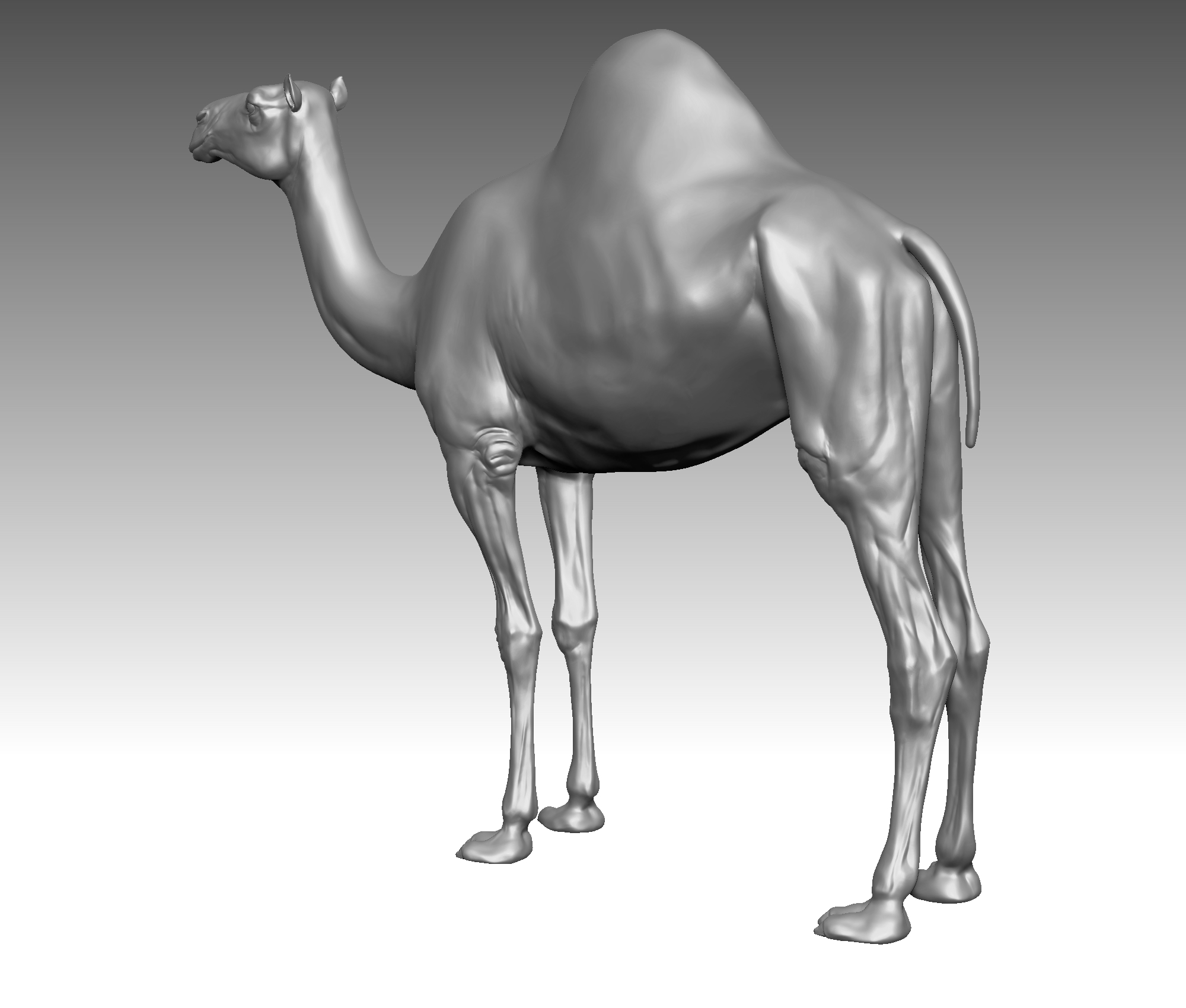 Camel realistic 3D - TurboSquid 1178237