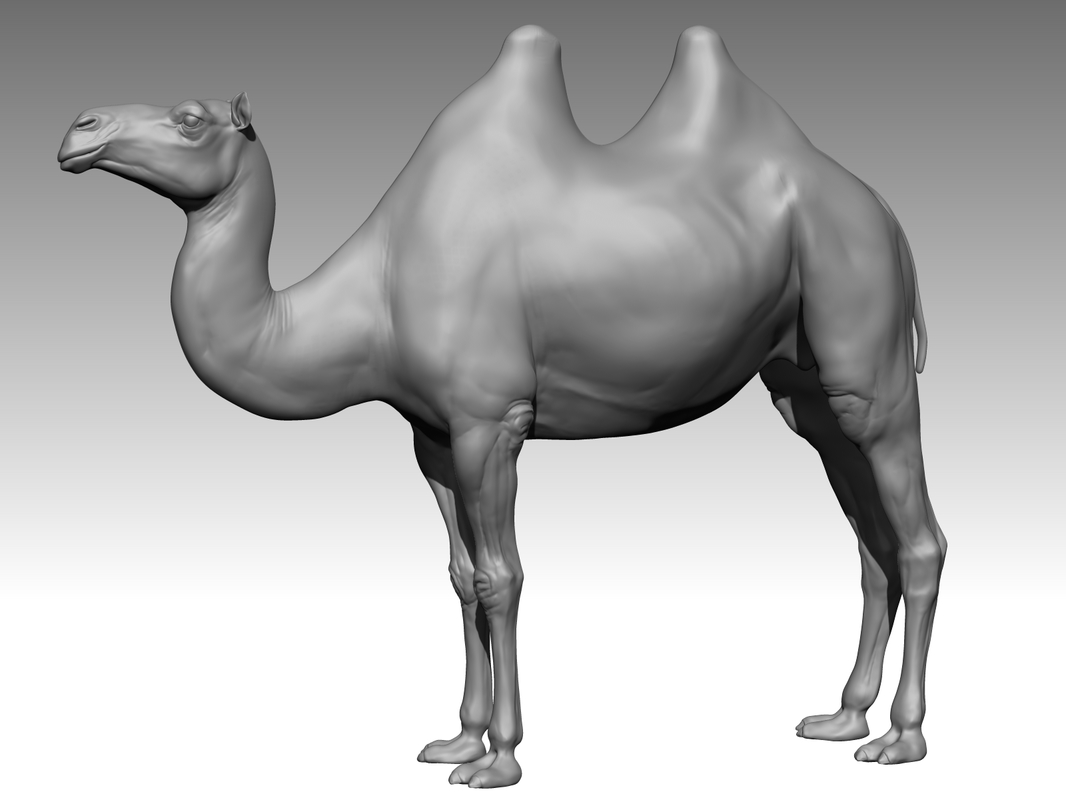 3D model camel realistic - TurboSquid 1178633