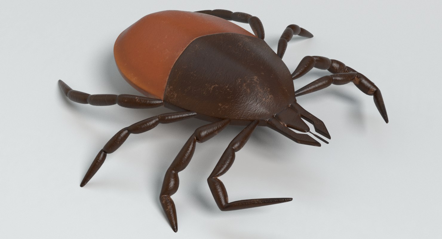 3D tick - TurboSquid 1178638