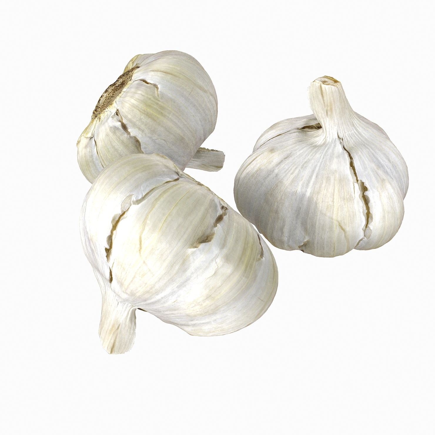 Garlics realistic 3D model - TurboSquid 1179941