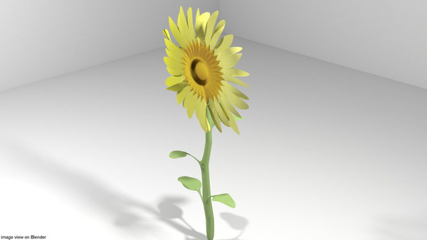 Sunflower 3D Models for Download | TurboSquid