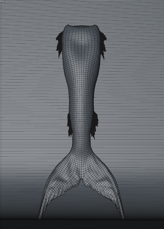 Mermaid tail 3D model - TurboSquid 1180682