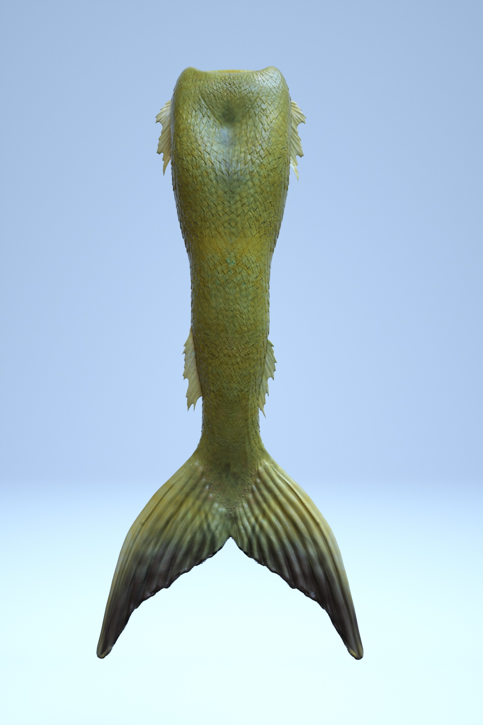 Mermaid tail 3D model - TurboSquid 1180682