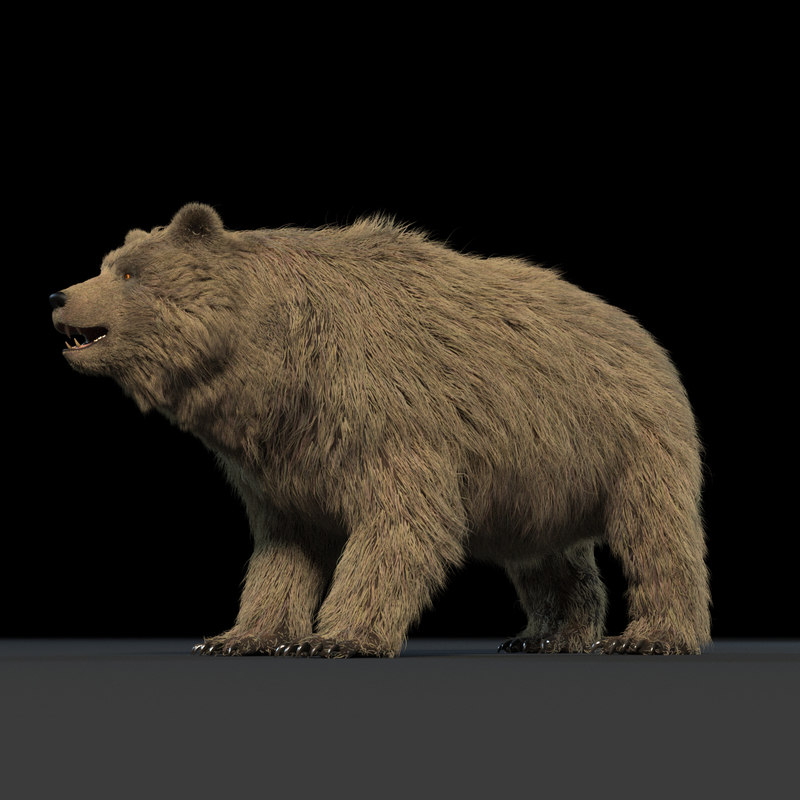 3D bear rig model - TurboSquid 1182391