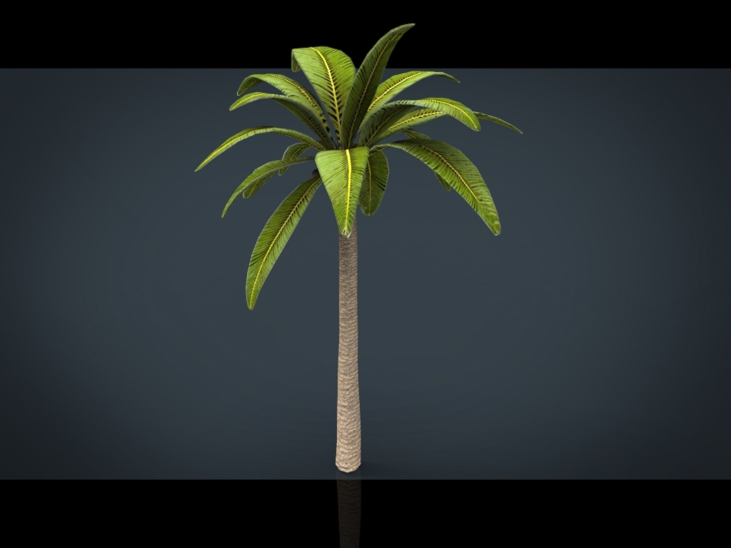 3D palm tree model - TurboSquid 1182501