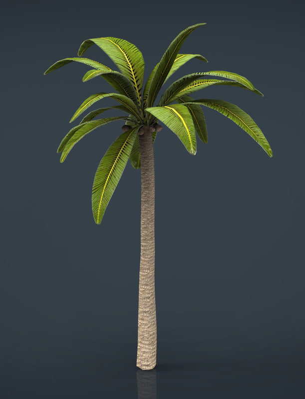 3D palm tree model - TurboSquid 1182501