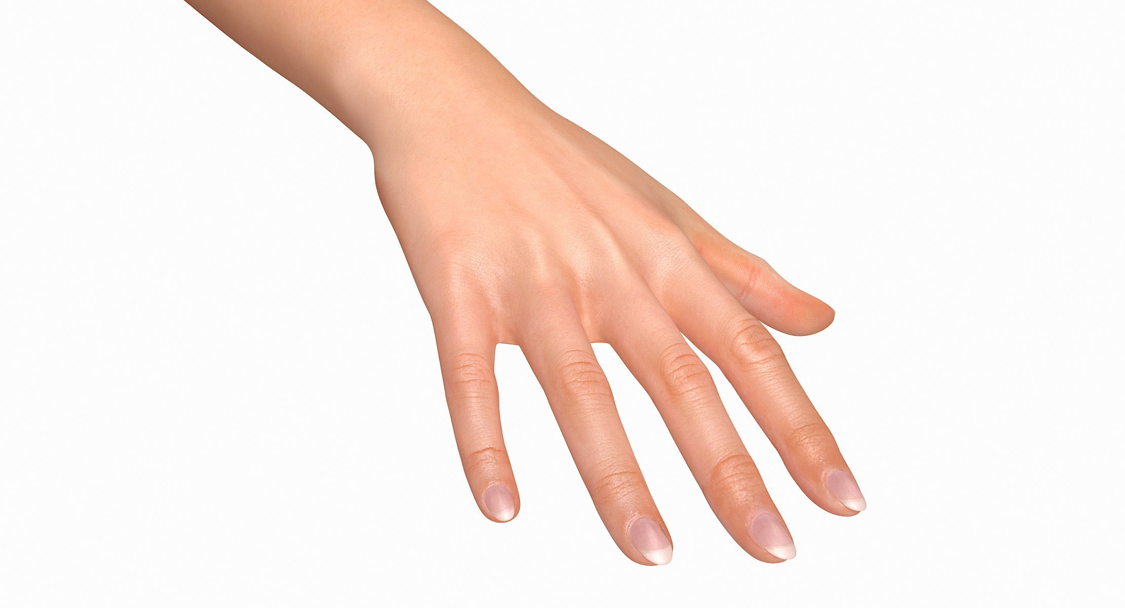 3D female arm model - TurboSquid 1182926