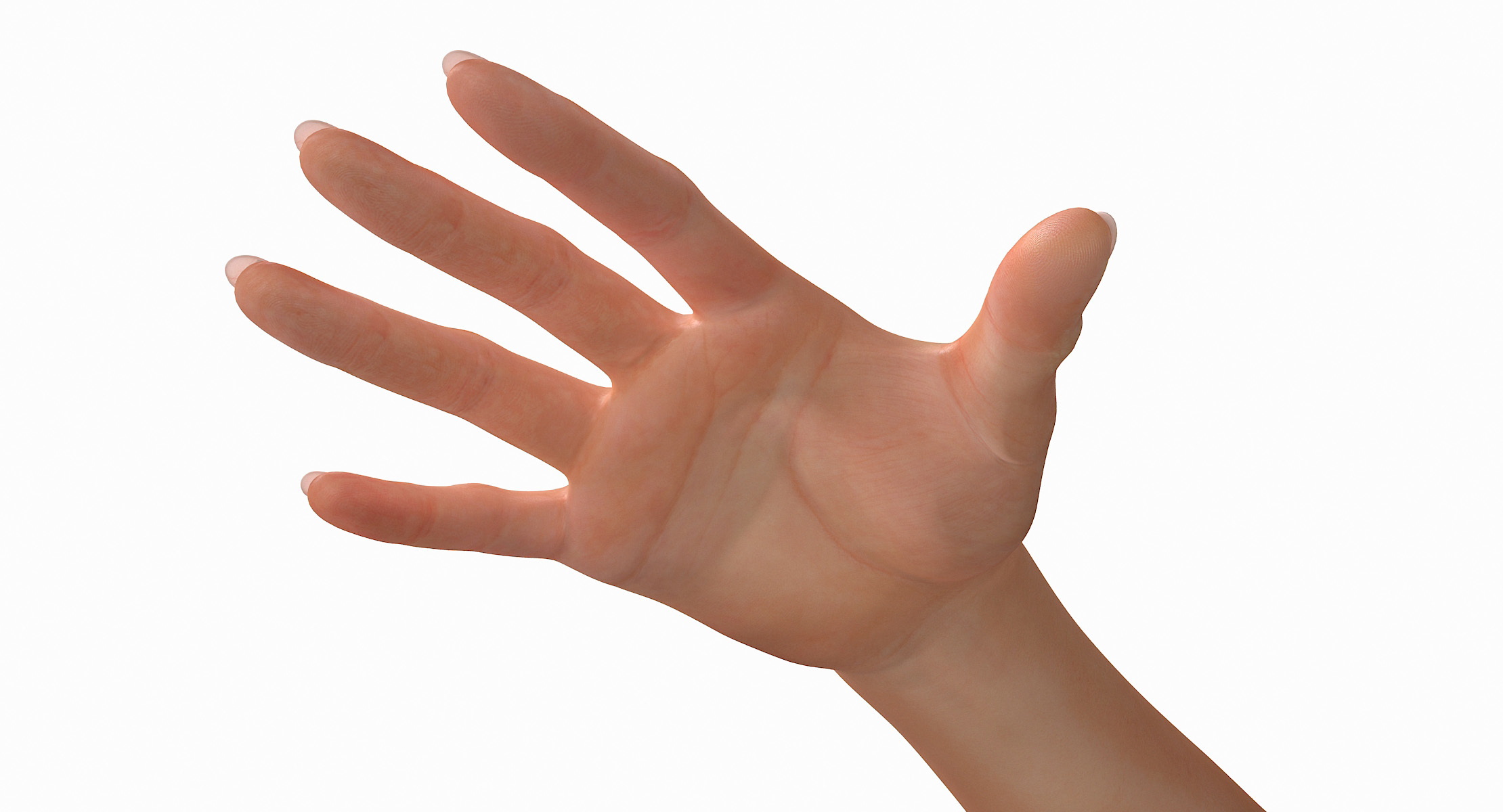 3D female arm model - TurboSquid 1182926