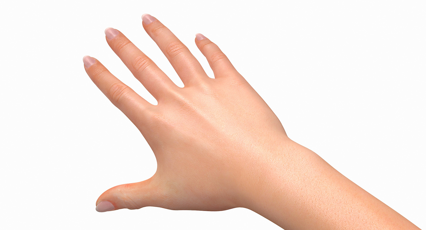 3D female arm model - TurboSquid 1182926