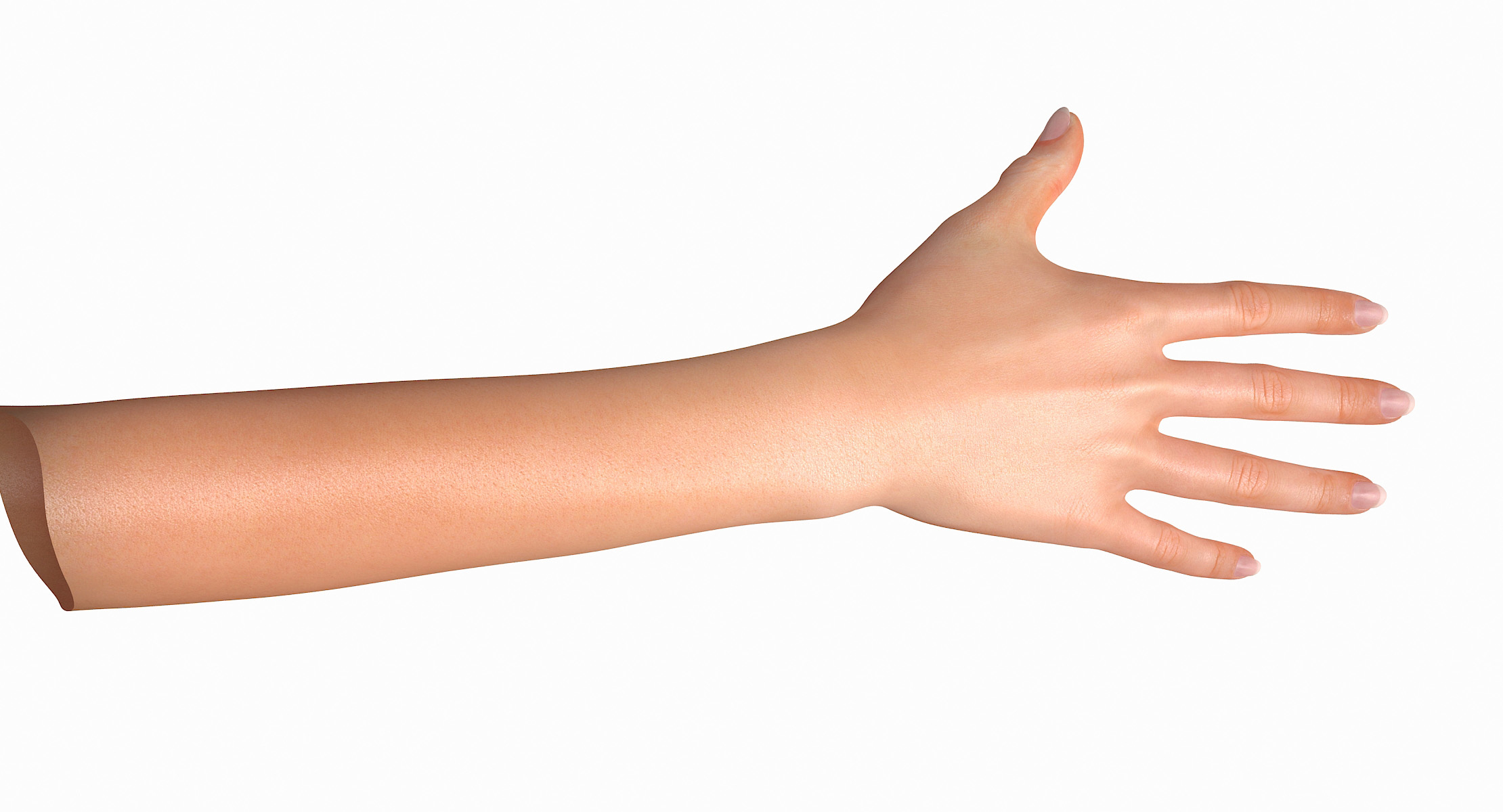 3D female arm model - TurboSquid 1182926