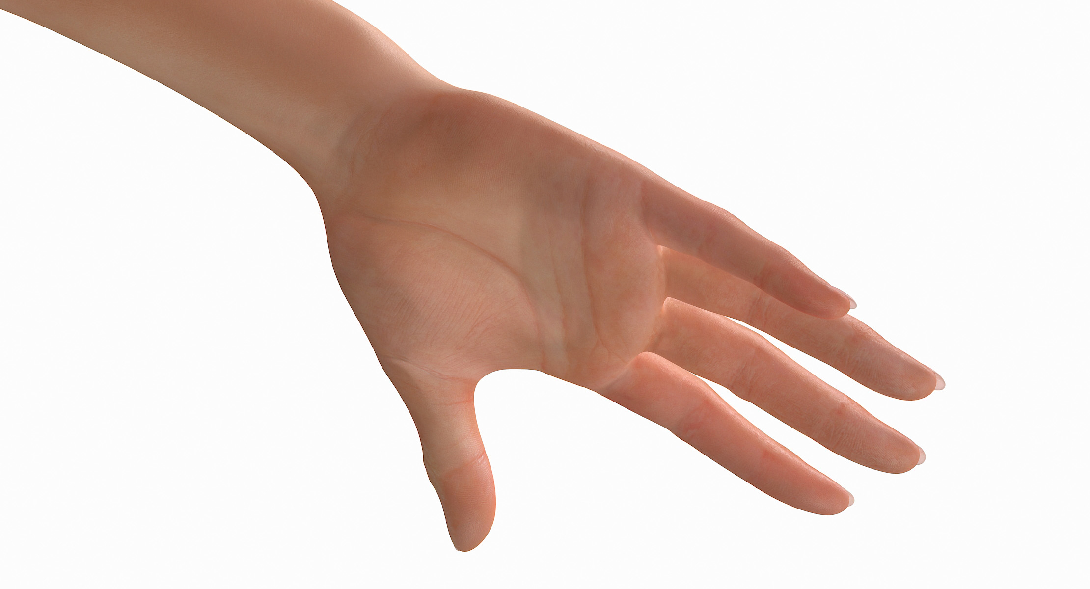 3D female arm model - TurboSquid 1182926