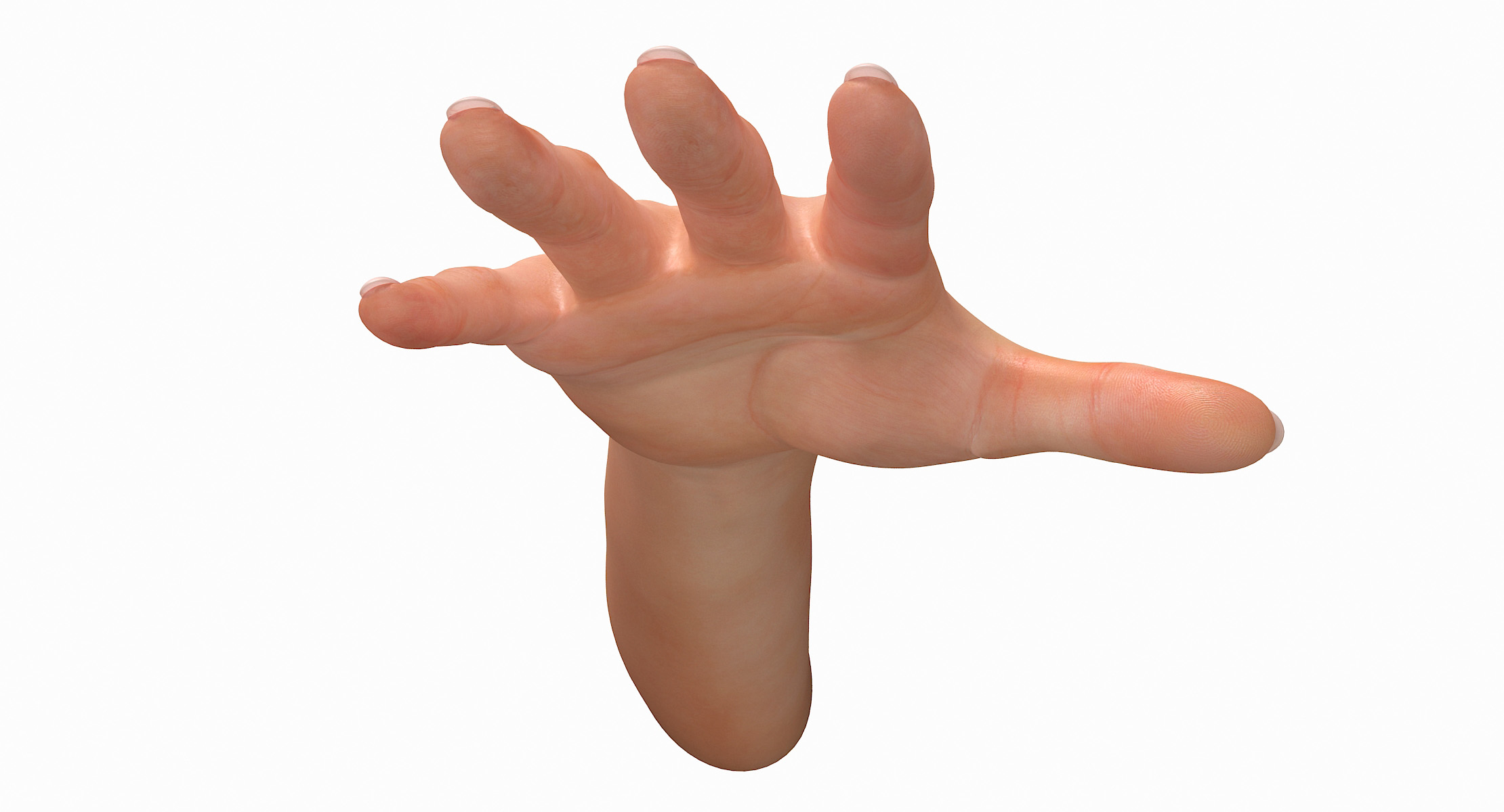 3D female arm model - TurboSquid 1182926