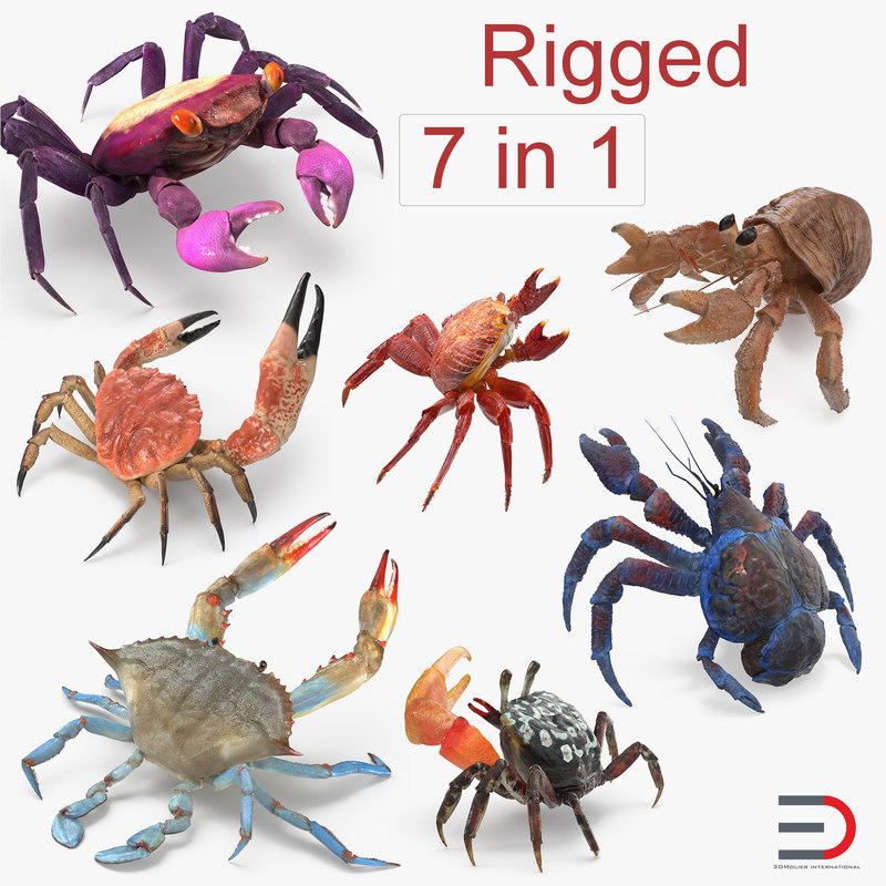 3D model rigged crabs 2 - TurboSquid 1183999