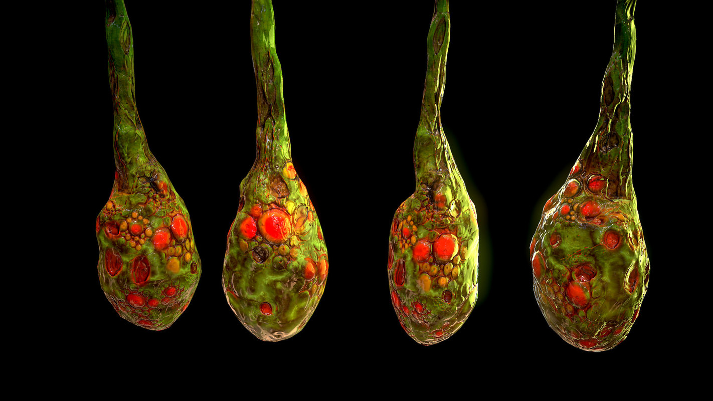 Cocoon ready 4 3D model - TurboSquid 1184139