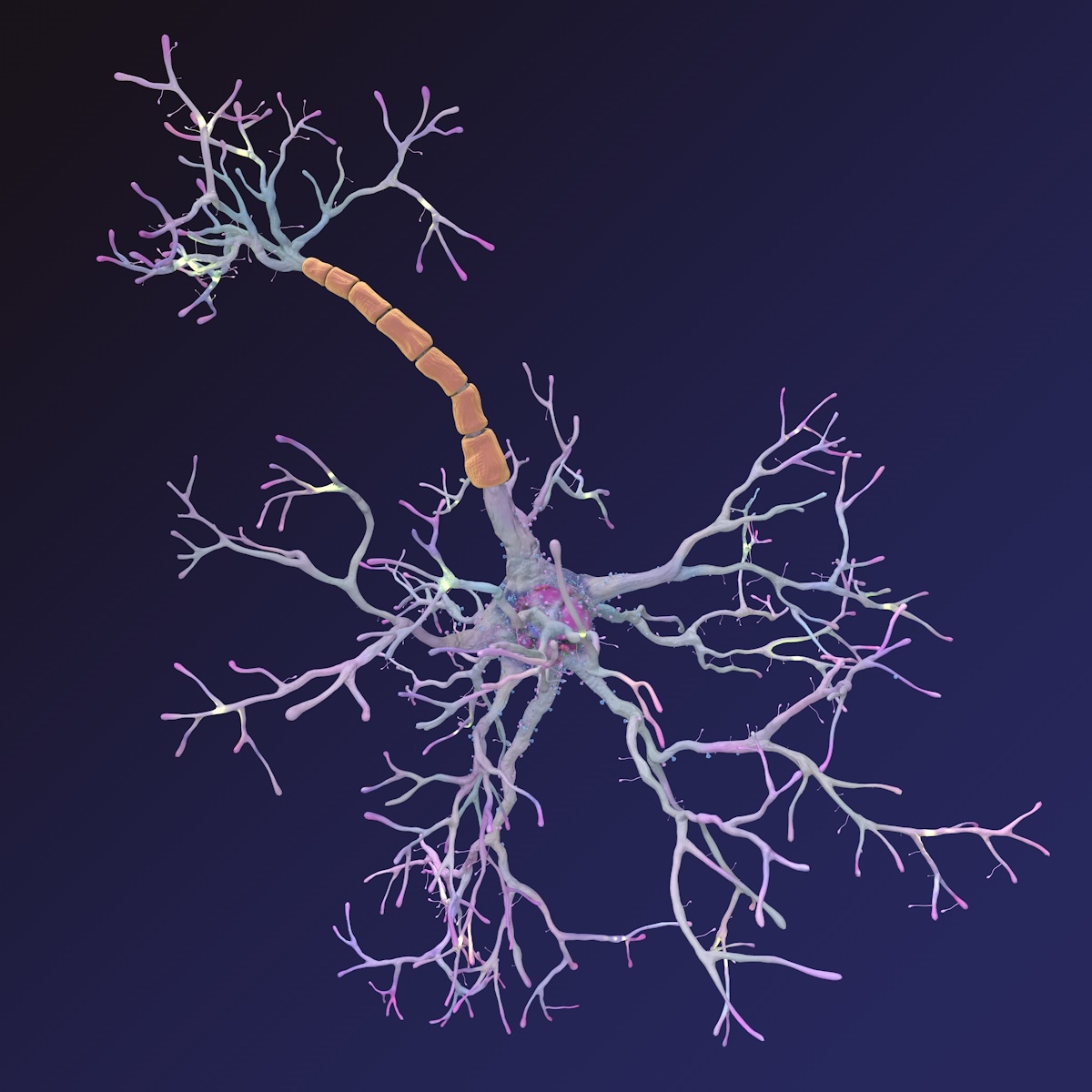 Neuron synapses receptors 3D model - TurboSquid 1184448