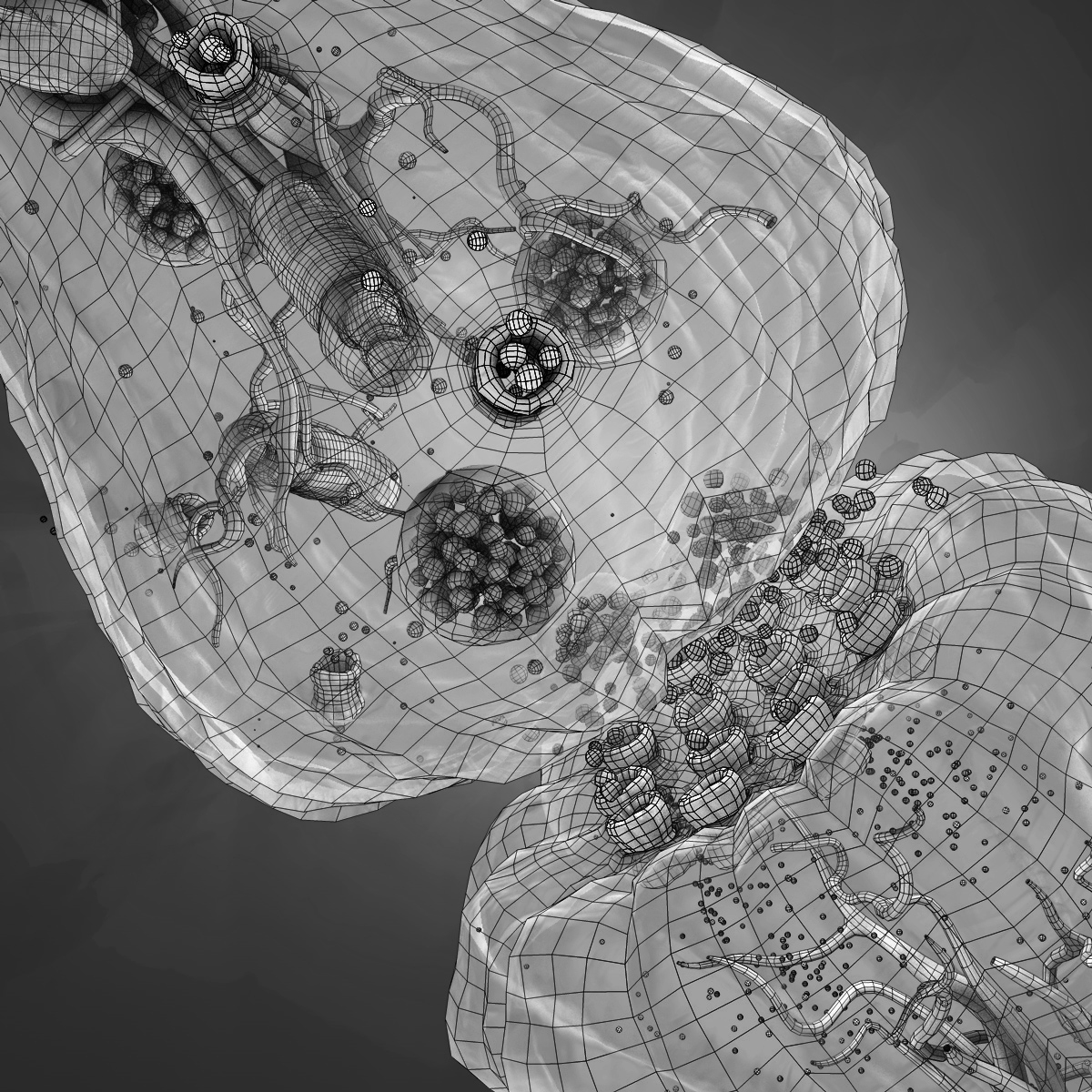 Neuron synapses receptors 3D model - TurboSquid 1184448