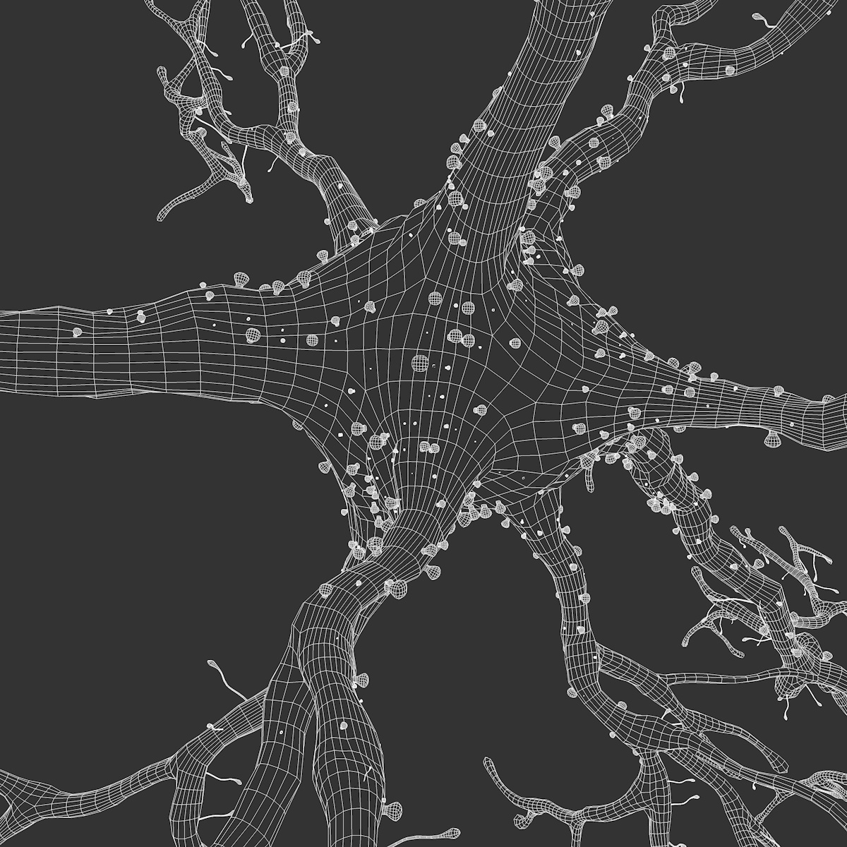 Neuron synapses receptors 3D model - TurboSquid 1184448