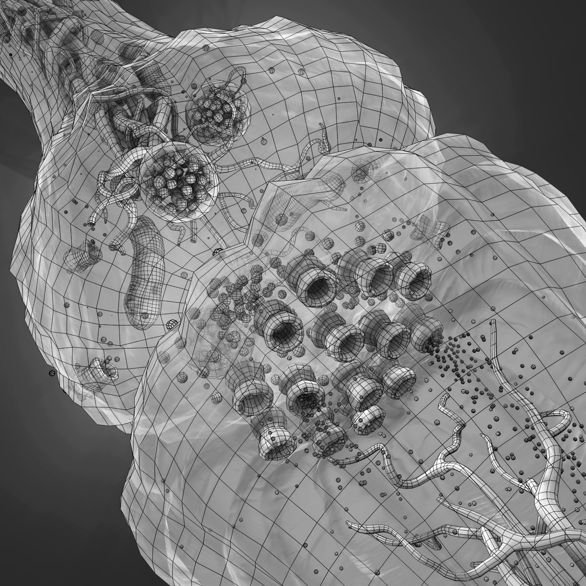 Neuron synapses receptors 3D model - TurboSquid 1184448