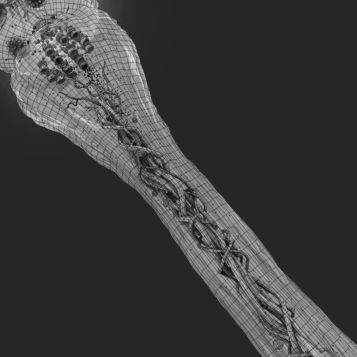 Neuron synapses receptors 3D model - TurboSquid 1184448
