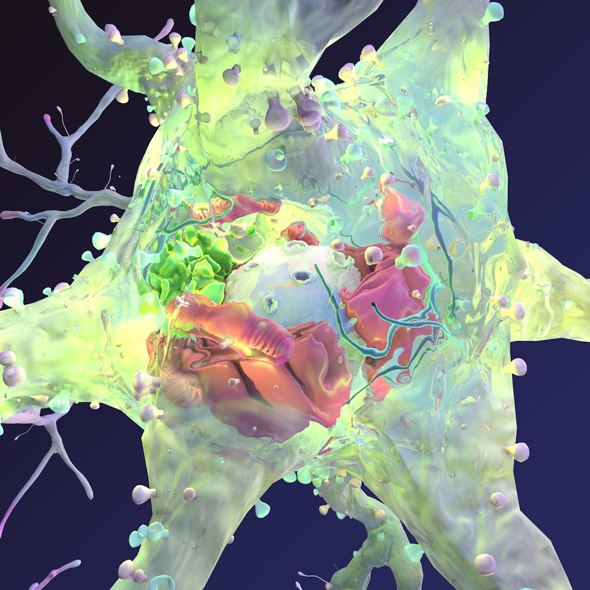 Neuron synapses receptors 3D model - TurboSquid 1184448