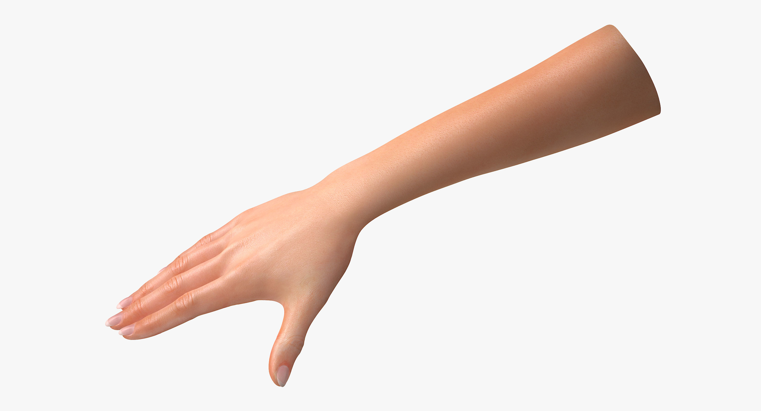 3D female arm pose - TurboSquid 1187393