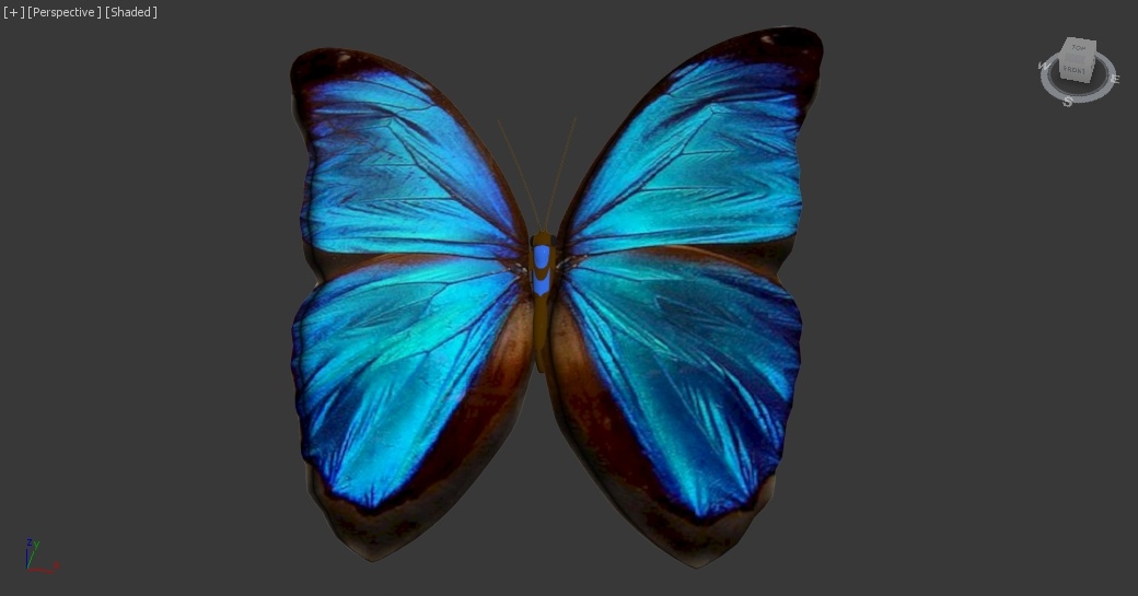 Butterfly fly 3D model - TurboSquid 1189157