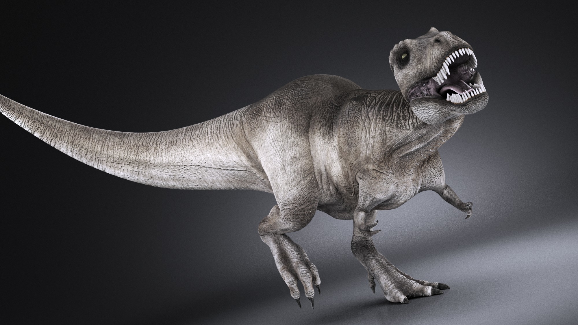 3D tyranosaurus rex - TurboSquid 1189323