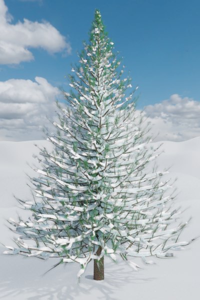 Pine Tree Blender Models for Download | TurboSquid