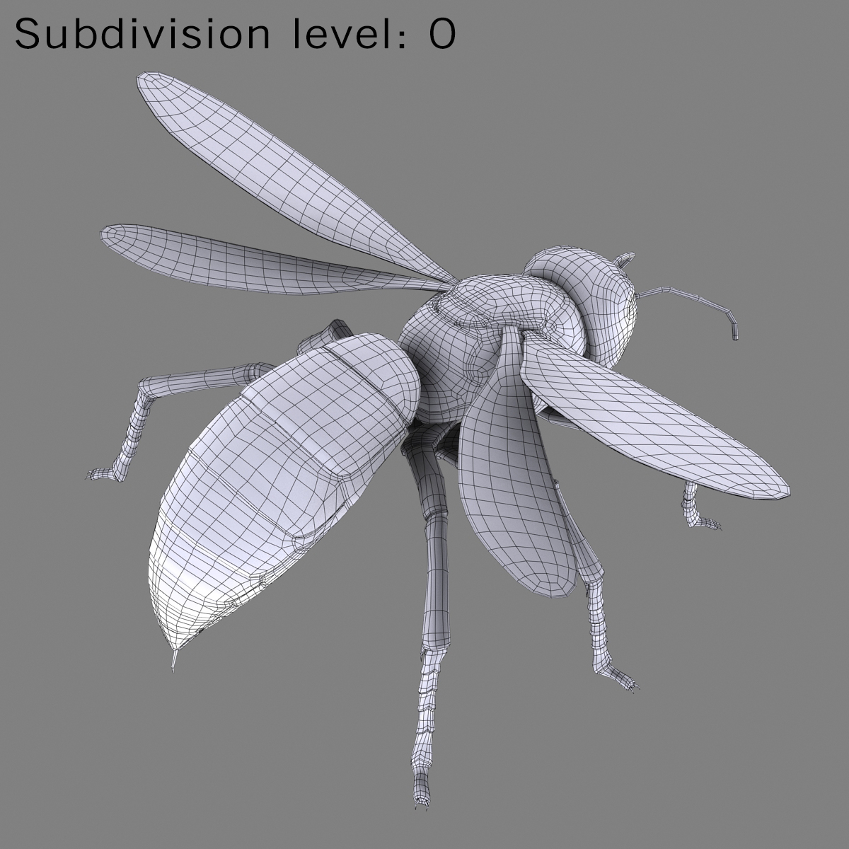 Wasp 3D model - TurboSquid 1189560