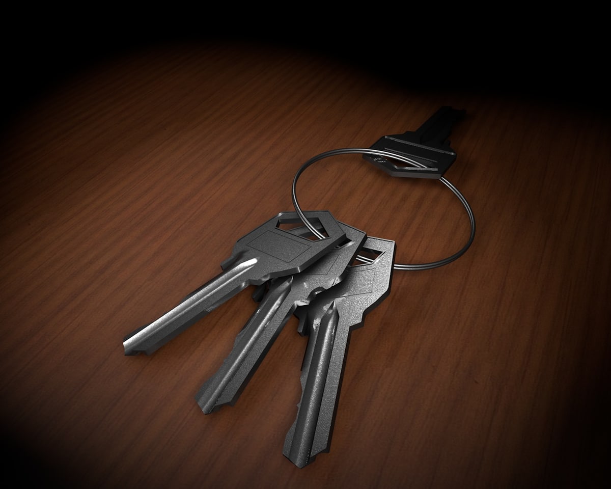 Car Key 3D Models for Download | TurboSquid