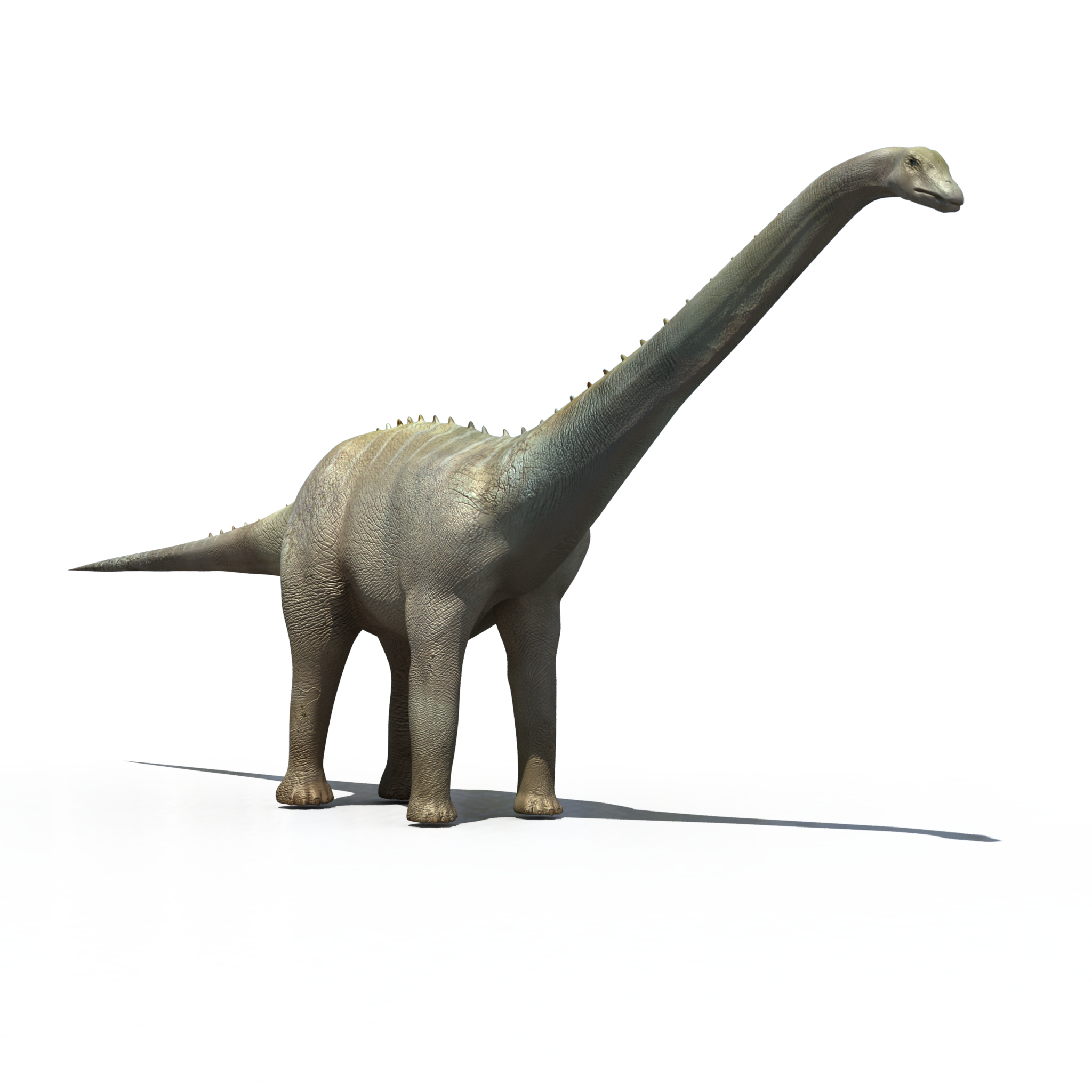 Animate rigged diplodocus 3D model - TurboSquid 1189587 Animate rigged diplodocus 3D model - TurboSquid 1189587