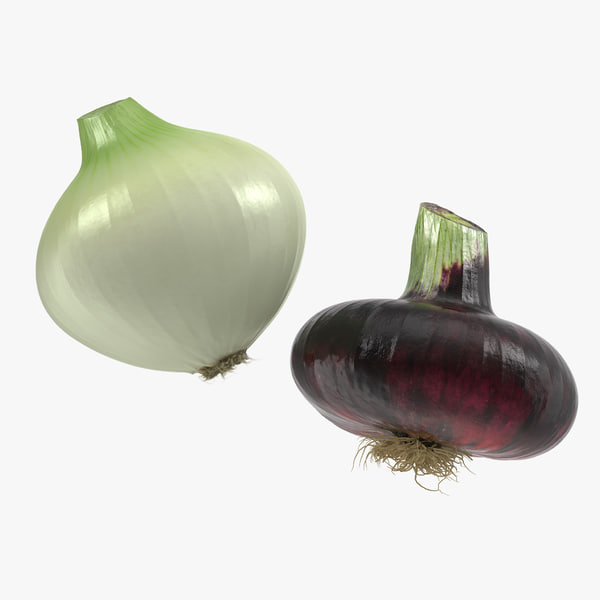 max realistic onion real