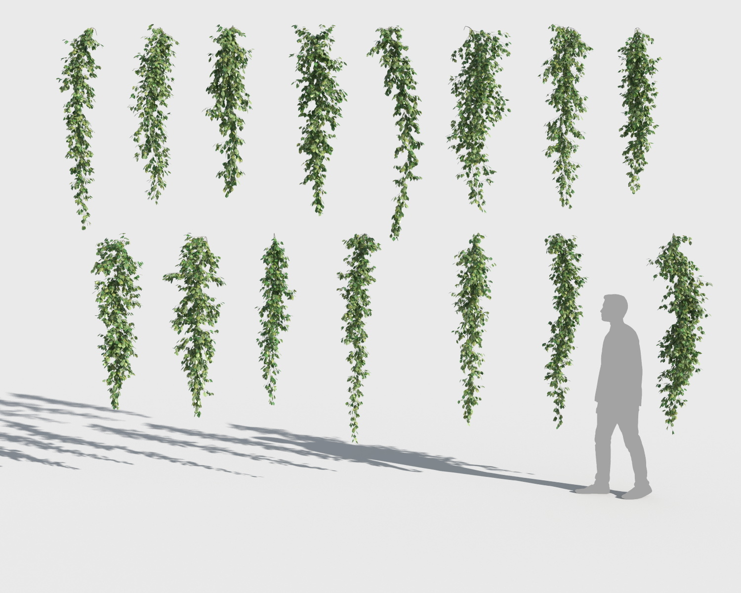 3D climbing plants - TurboSquid 1190710