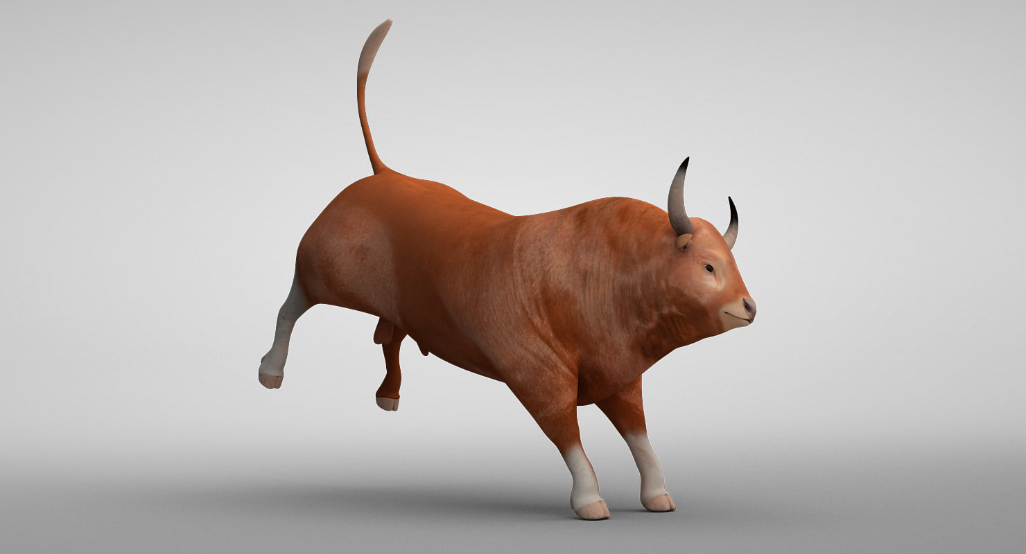 Bull 3D model - TurboSquid 1190746