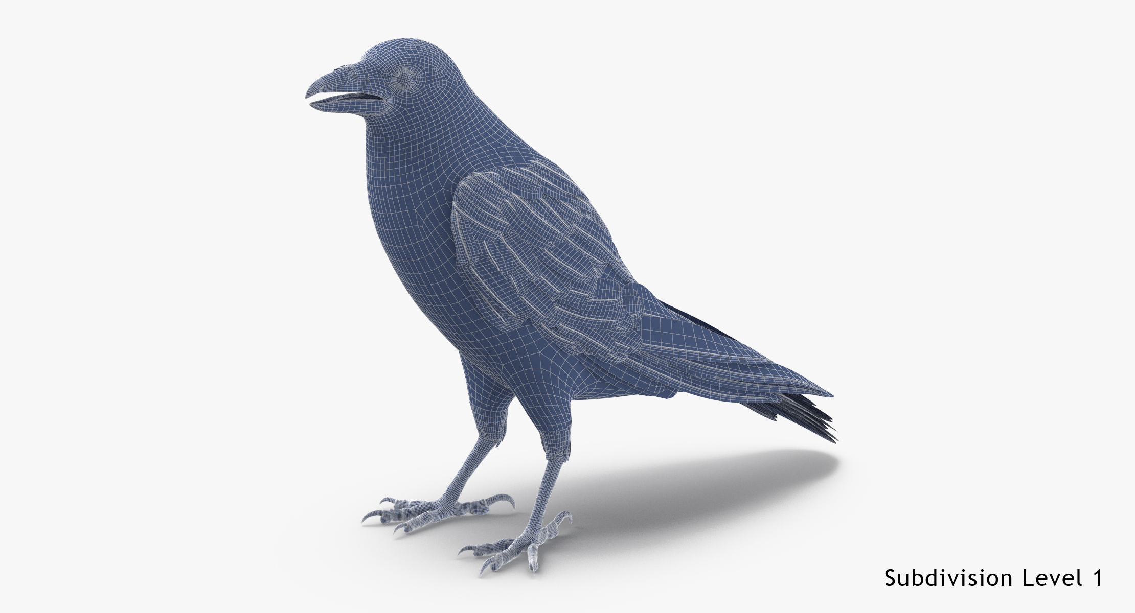 Crow 3 poses 3D model - TurboSquid 1190945