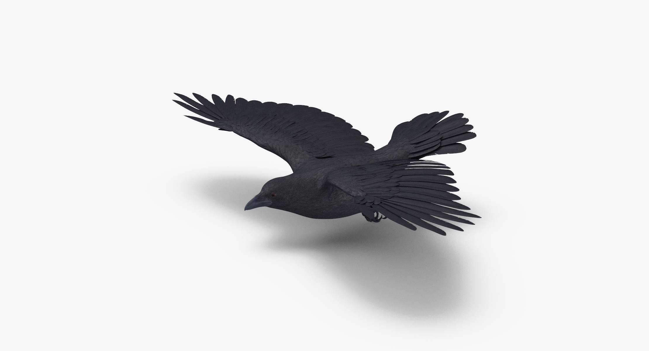 Crow 3 poses 3D model - TurboSquid 1190945