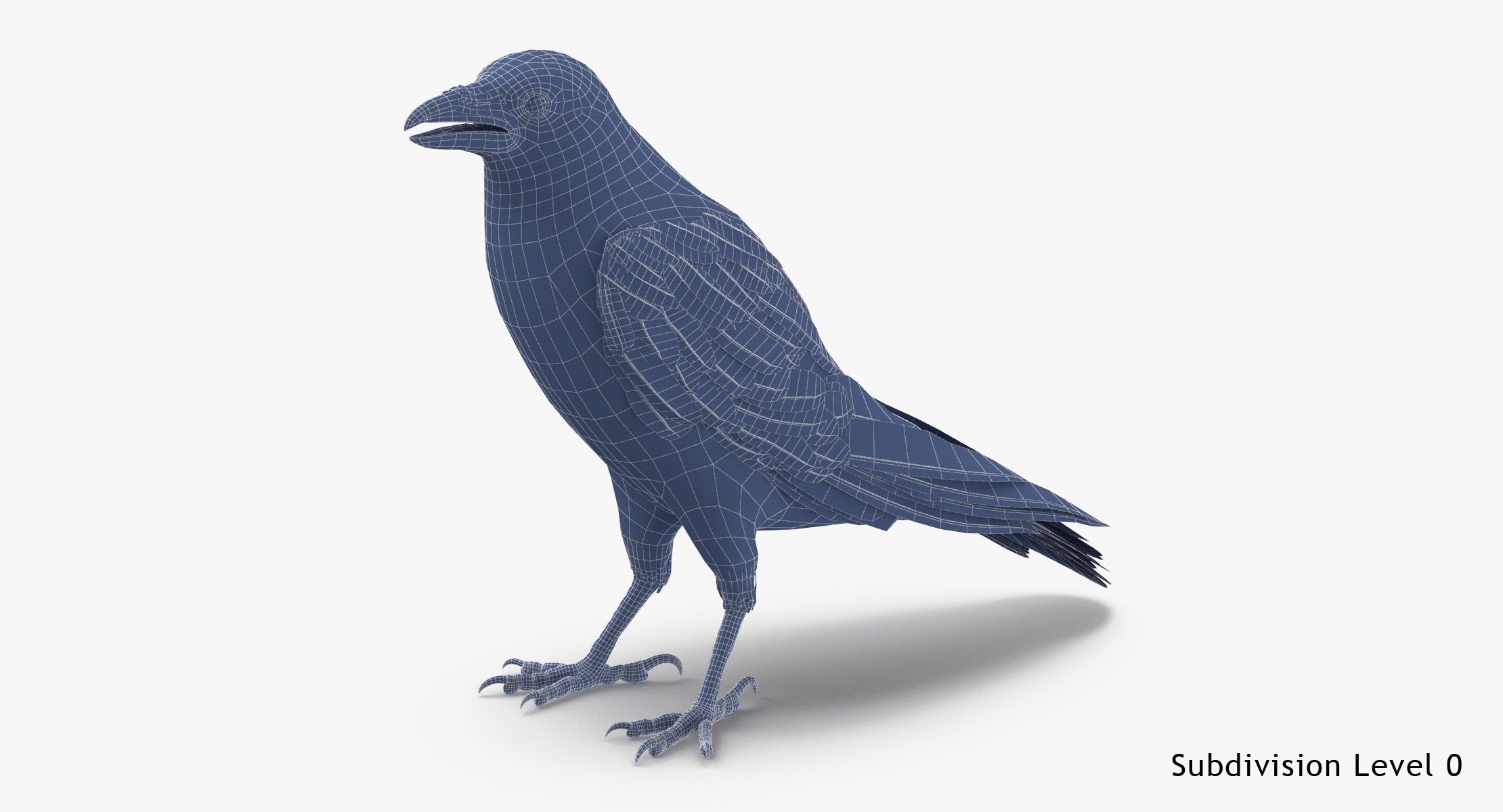 Crow 3 poses 3D model - TurboSquid 1190945
