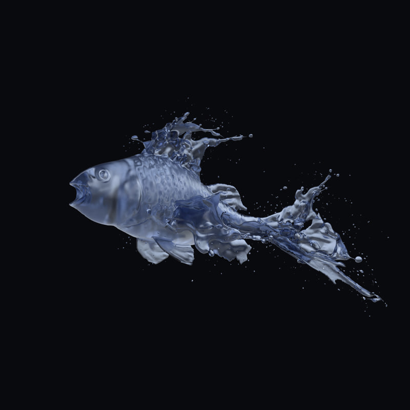 Fish splash 3D model - TurboSquid 1190960