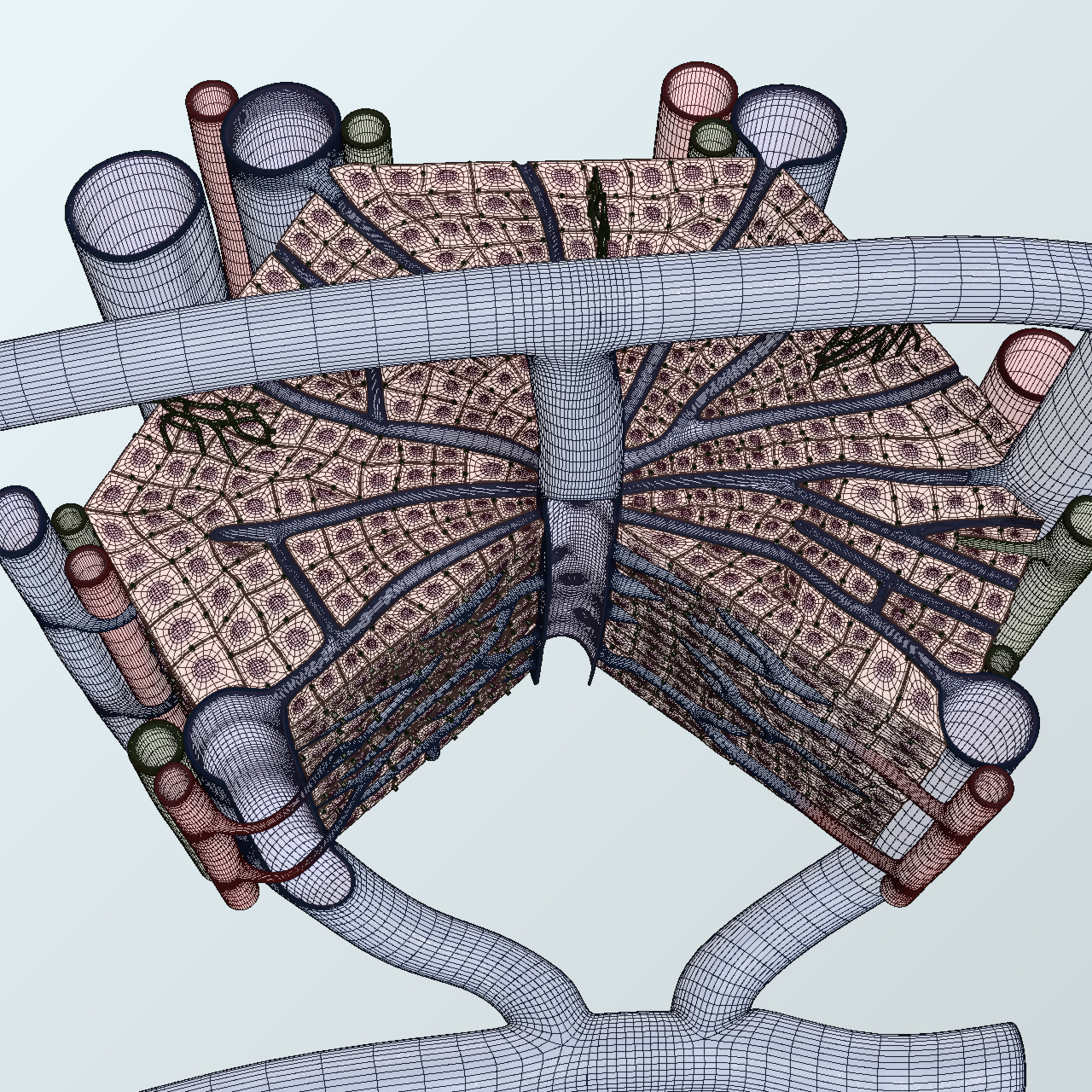 3D realistic liver lobule anatomy model - TurboSquid 1191337