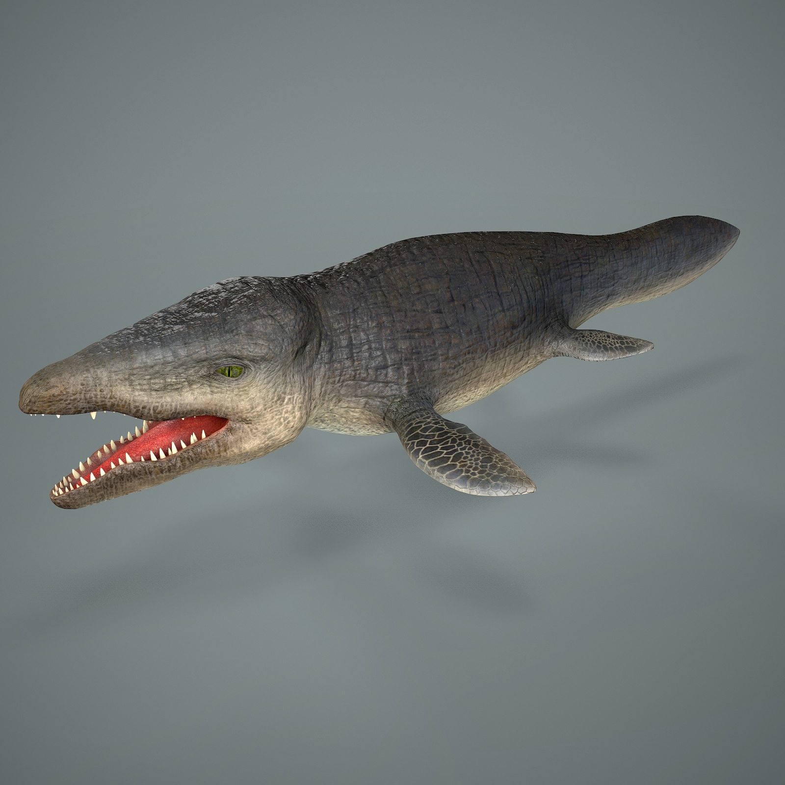 modelo 3d Mosasaurus - TurboSquid 1191696