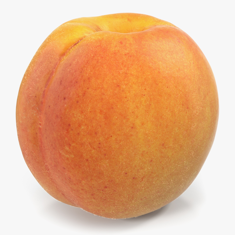 3D apricot object realistic model - TurboSquid 1192522