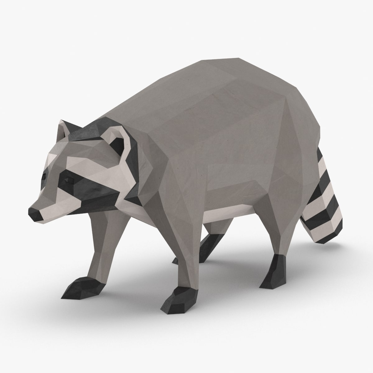 Low Poly Raccoon 3D Models for Download | TurboSquid
